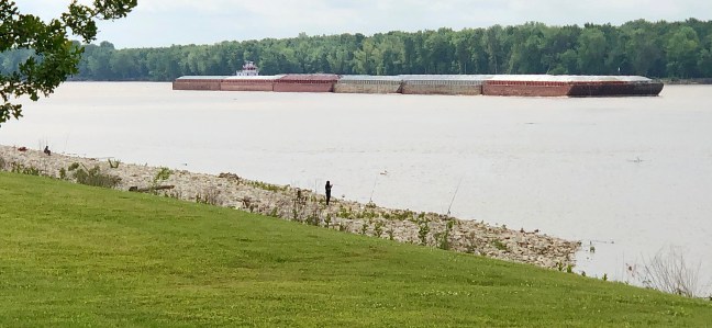 Mississippi Flyway: Reelfoot to Lake Itasca – Free Passage