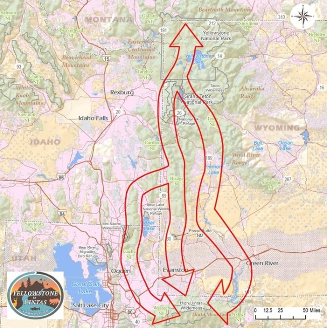 Yellowstone to Uintas: Path of the Pronghorn – Free Passage